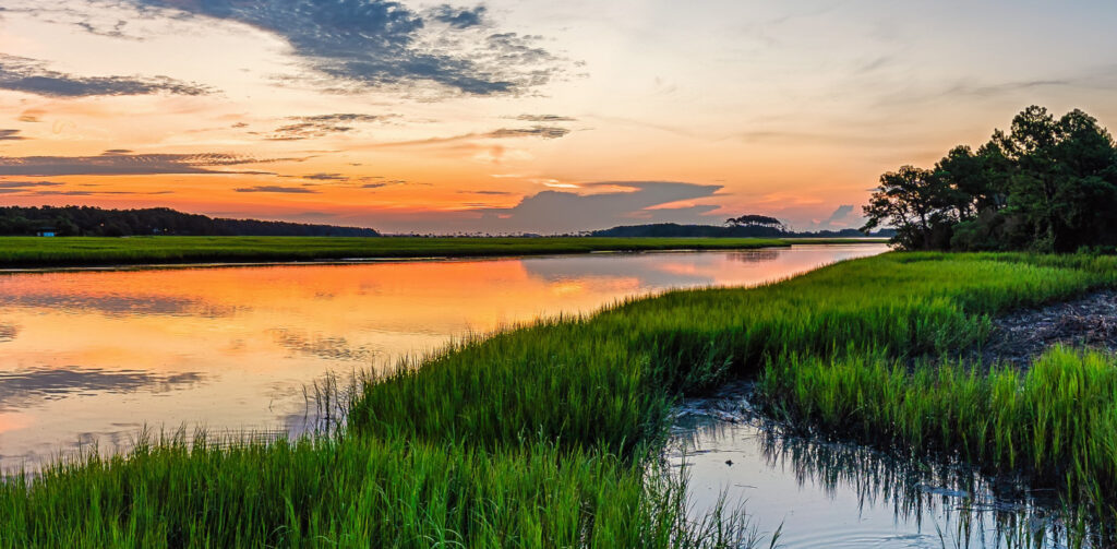 Home - South Carolina Department of Health